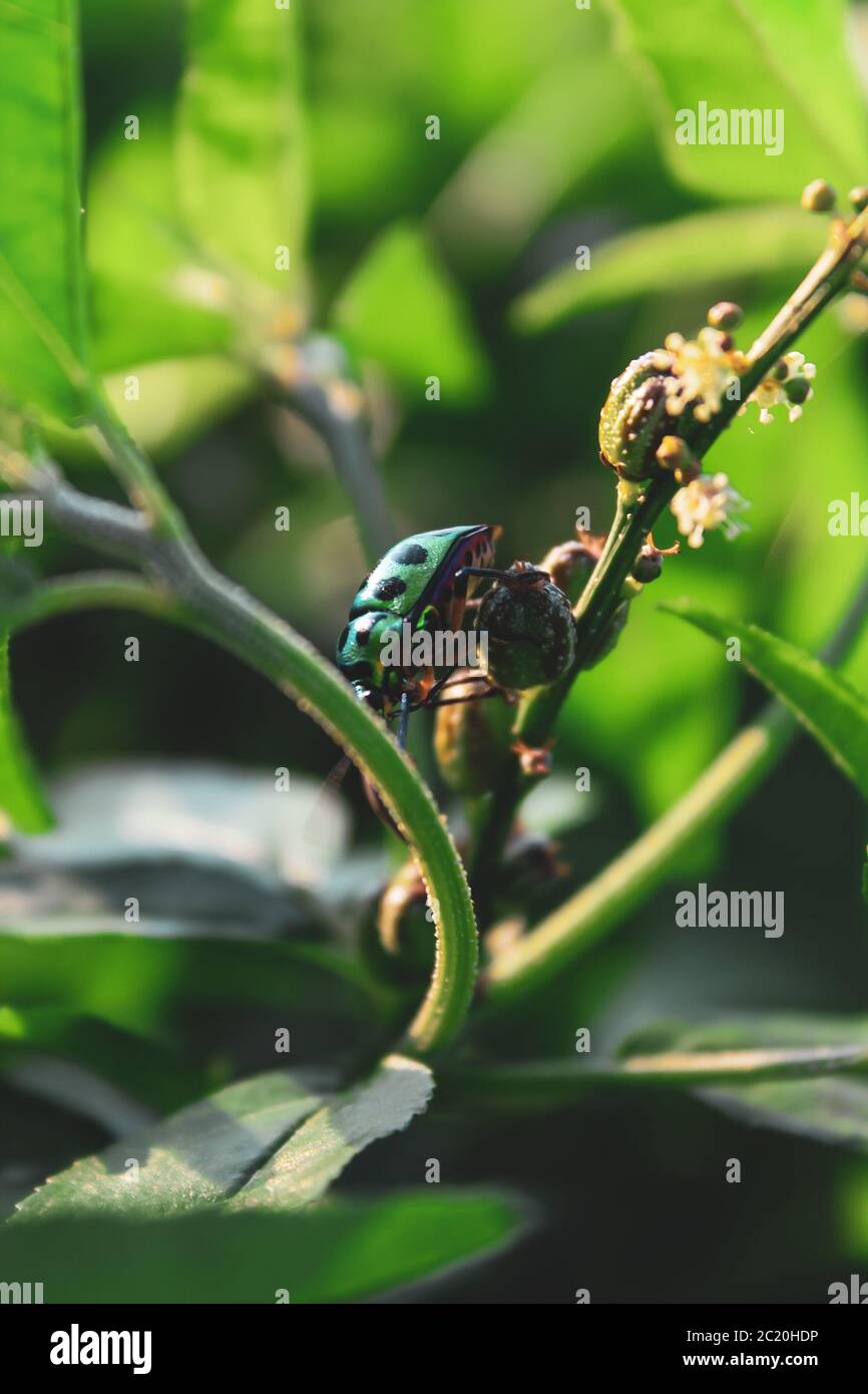 Photographyy hi-res stock photography and images - Alamy