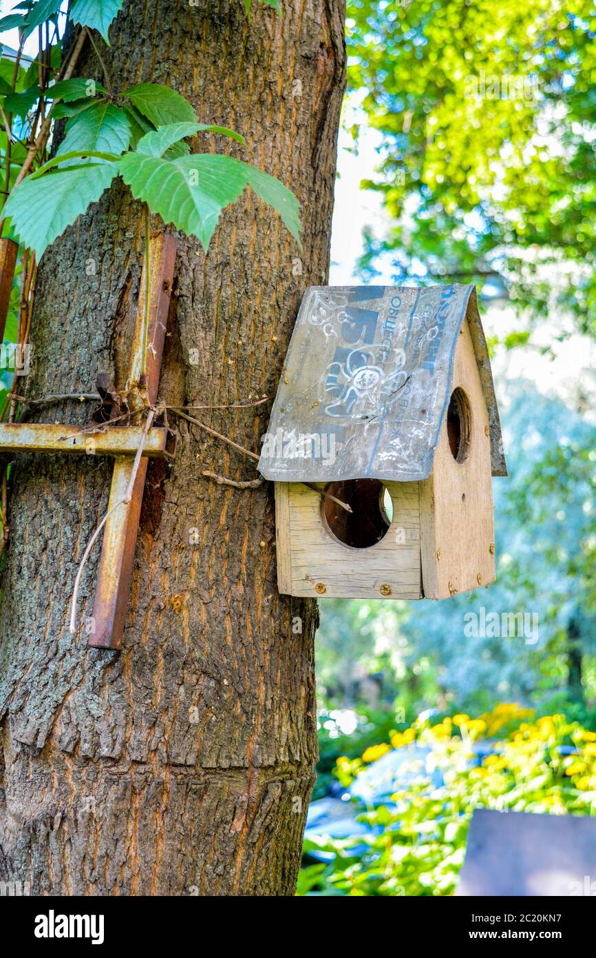 Old empty wooden birdhouse on tree trunk in city. Simple birdhouse ...