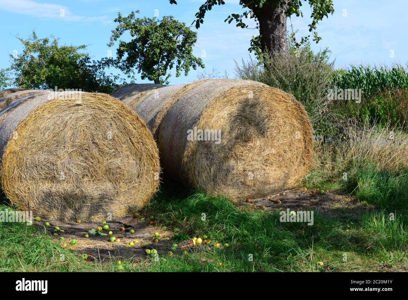 Processing bales hi-res stock photography and images - Alamy