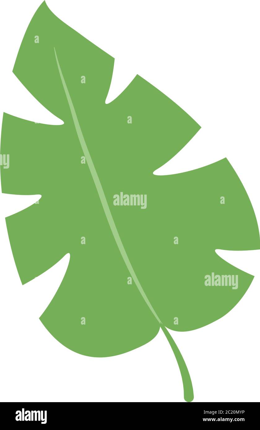 split tropical leaf icon over white background, flat style, vector ...