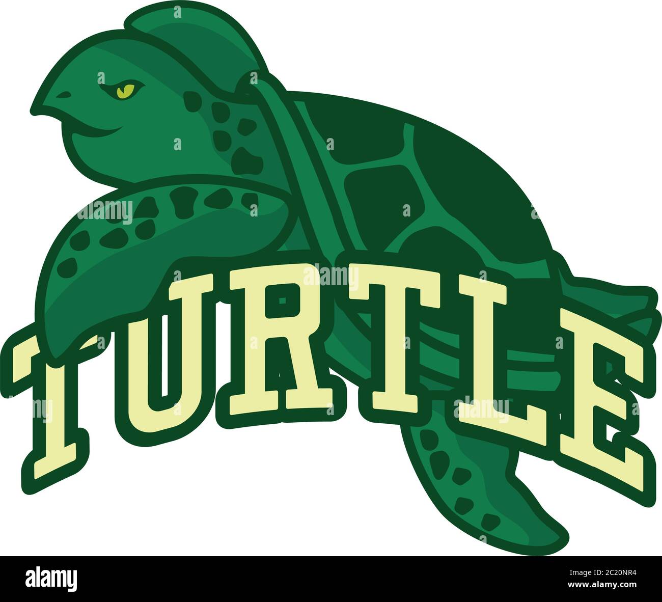 green turtle logo, vector illustration Stock Vector Image & Art - Alamy