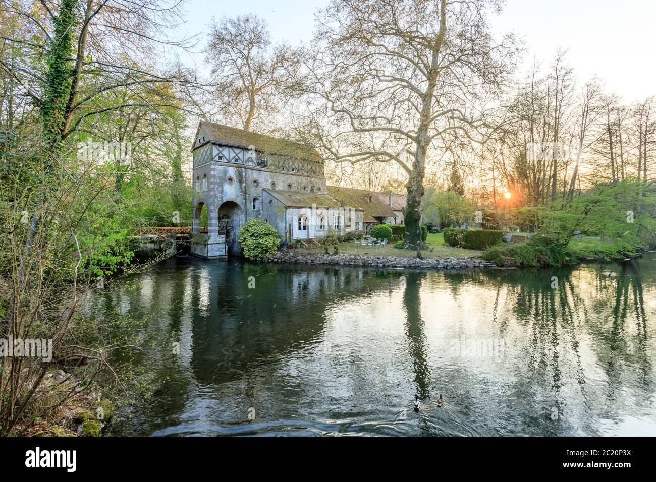 France, Loiret, Loire valley listed as World Heritage by UNESCO, Olivet ...