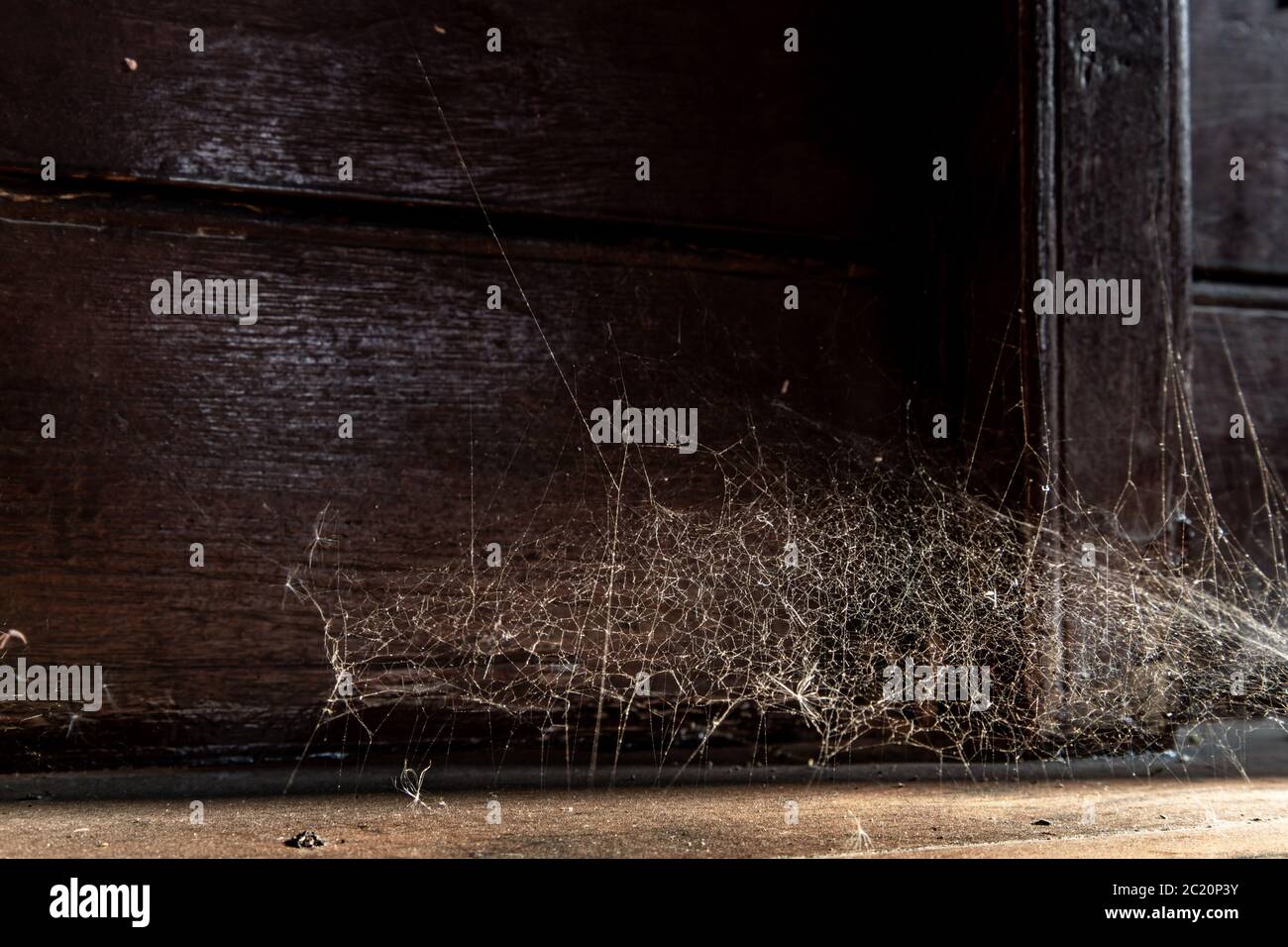 Spider woven web in wall of ancient thai house, Abstract Spiderweb on ...
