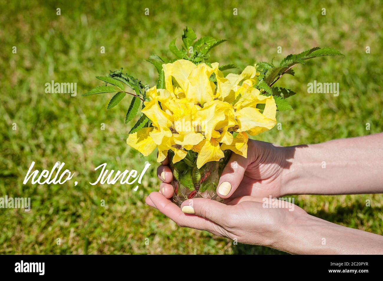 Hello june hi-res stock photography and images - Alamy
