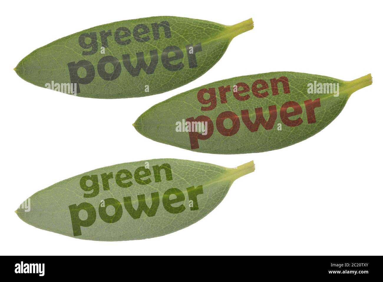 Three green leaves and the text green power in different color and ...