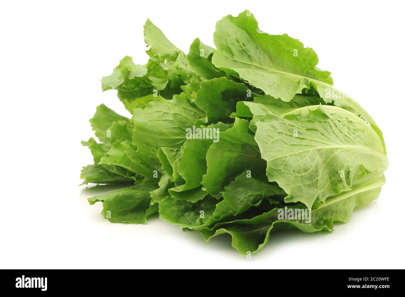Endive isolated hi-res stock photography and images - Alamy