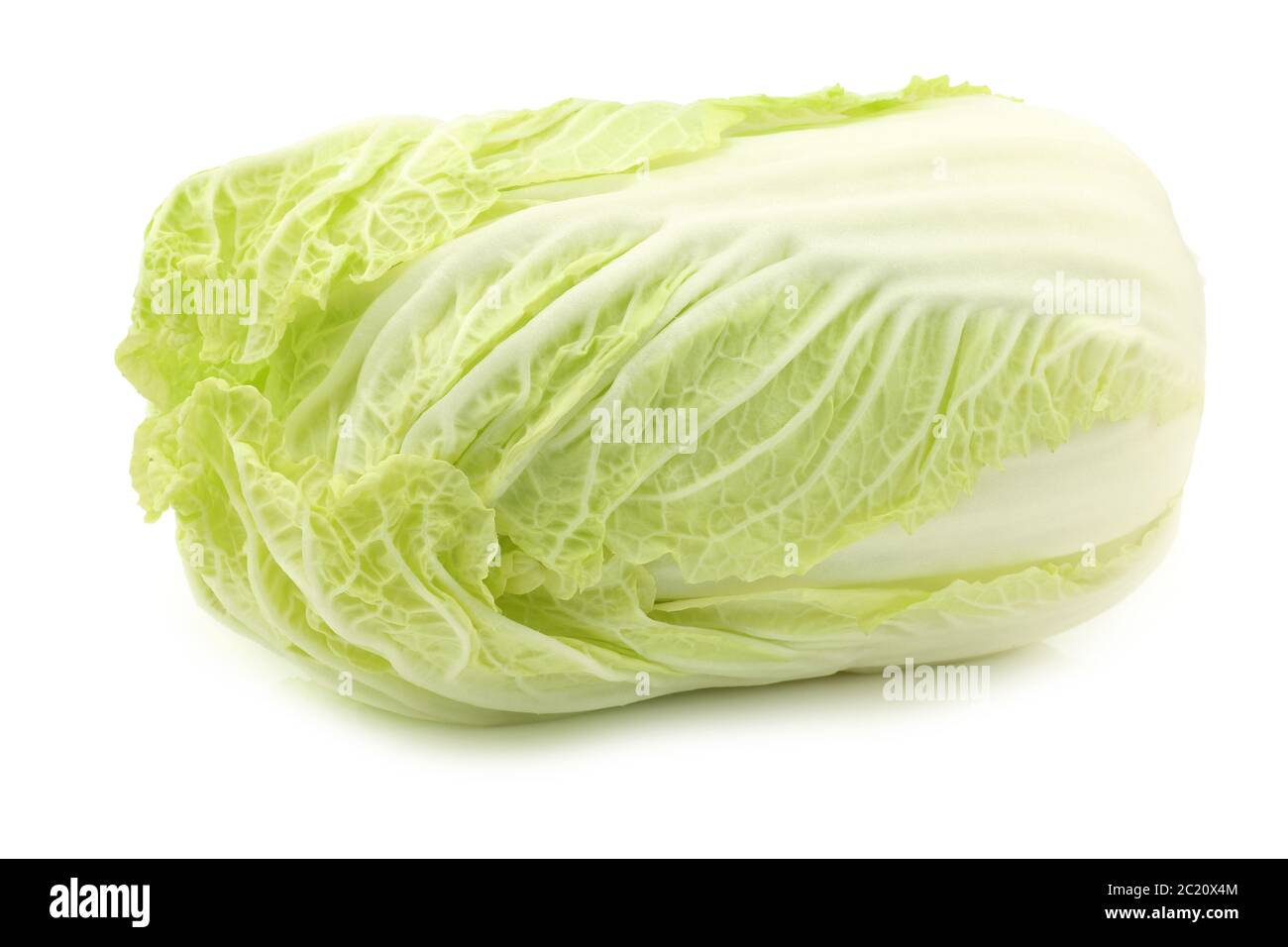 fresh chinese cabbage on a white background Stock Photo - Alamy