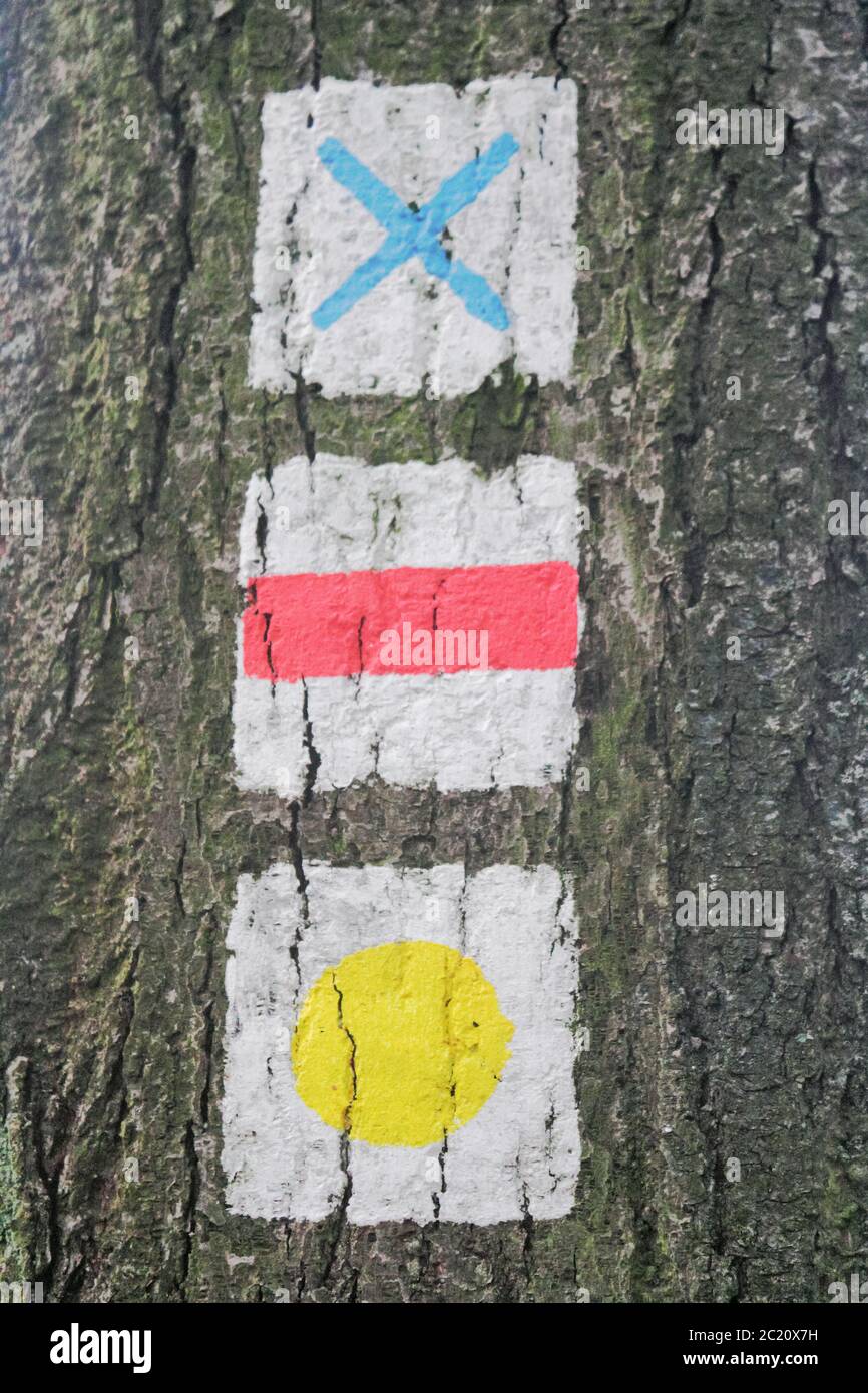 Tree characters hi-res stock photography and images - Alamy