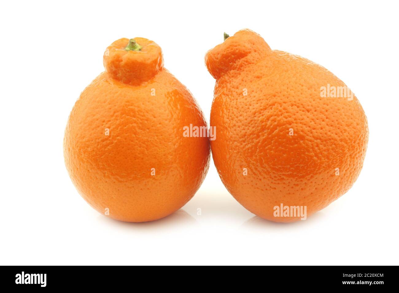 two fresh minneola's on a white background Stock Photo - Alamy