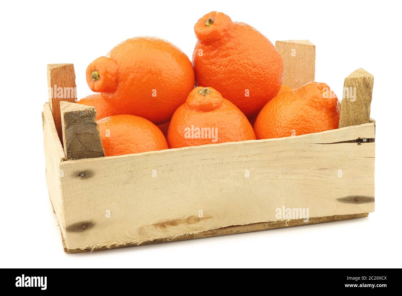 fresh and colorful Minneola tangelo fruit in a wooden crate on a white ...