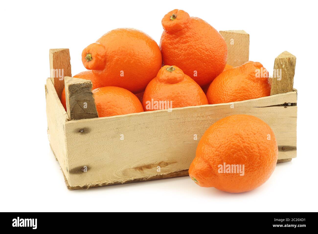 fresh and colorful Minneola tangelo fruit in a wooden crate on a white ...