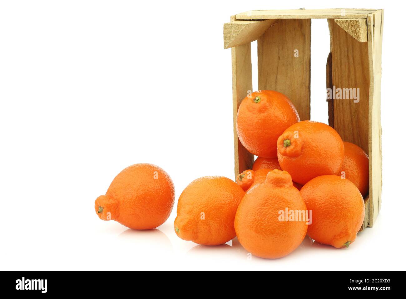 fresh and colorful Minneola tangelo fruit in a wooden crate on a white ...