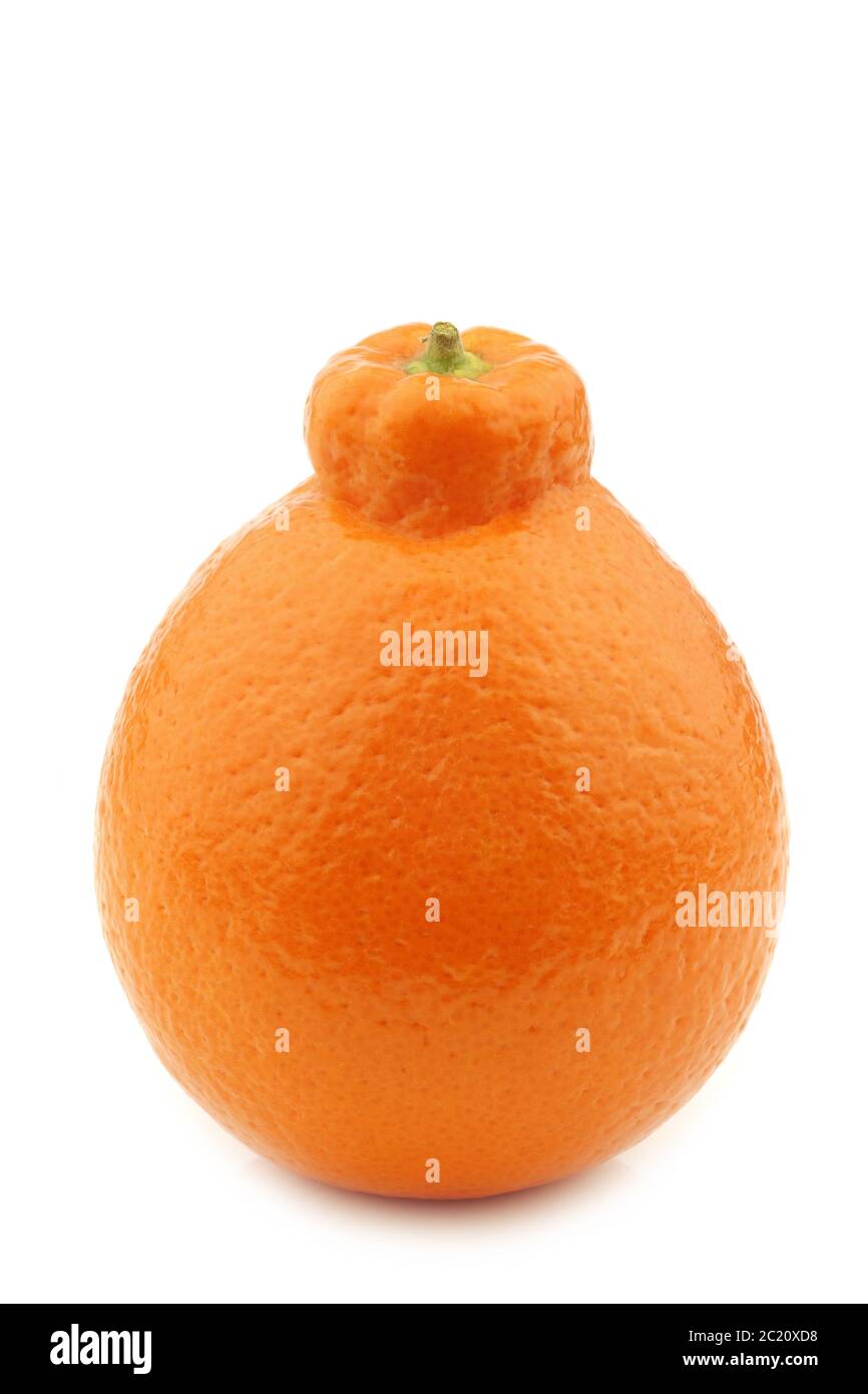 Minneola hi-res stock photography and images - Alamy