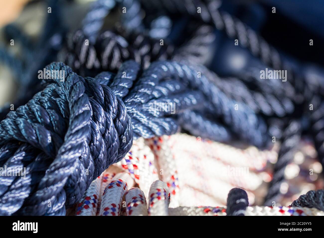 Marine closeup hi-res stock photography and images - Alamy
