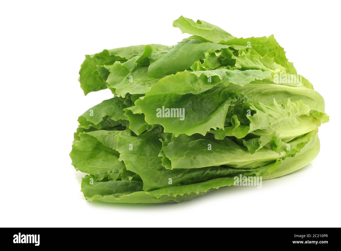 Endive leaf Cut Out Stock Images & Pictures - Alamy