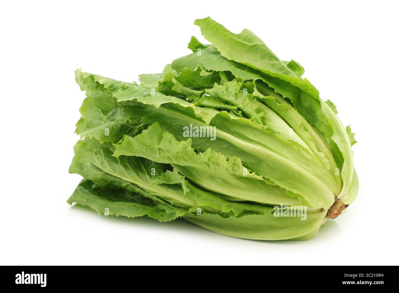 Endive leaf Cut Out Stock Images & Pictures - Alamy
