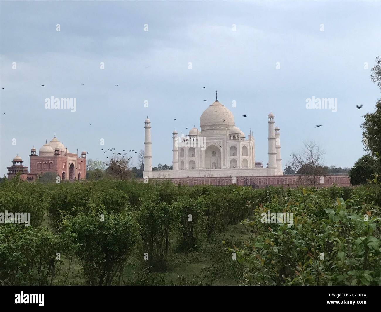 Indian marmor hi-res stock photography and images - Alamy