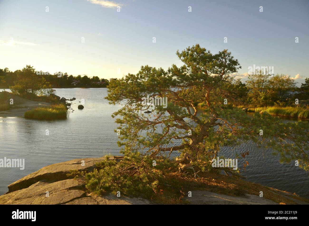 Garden of Sherries Stock Photo - Alamy