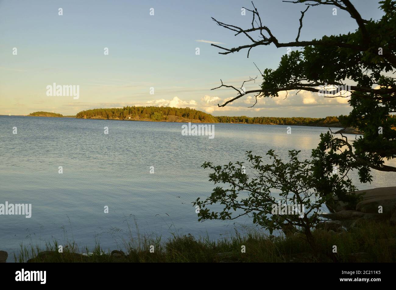 Garden of Sherries Stock Photo - Alamy