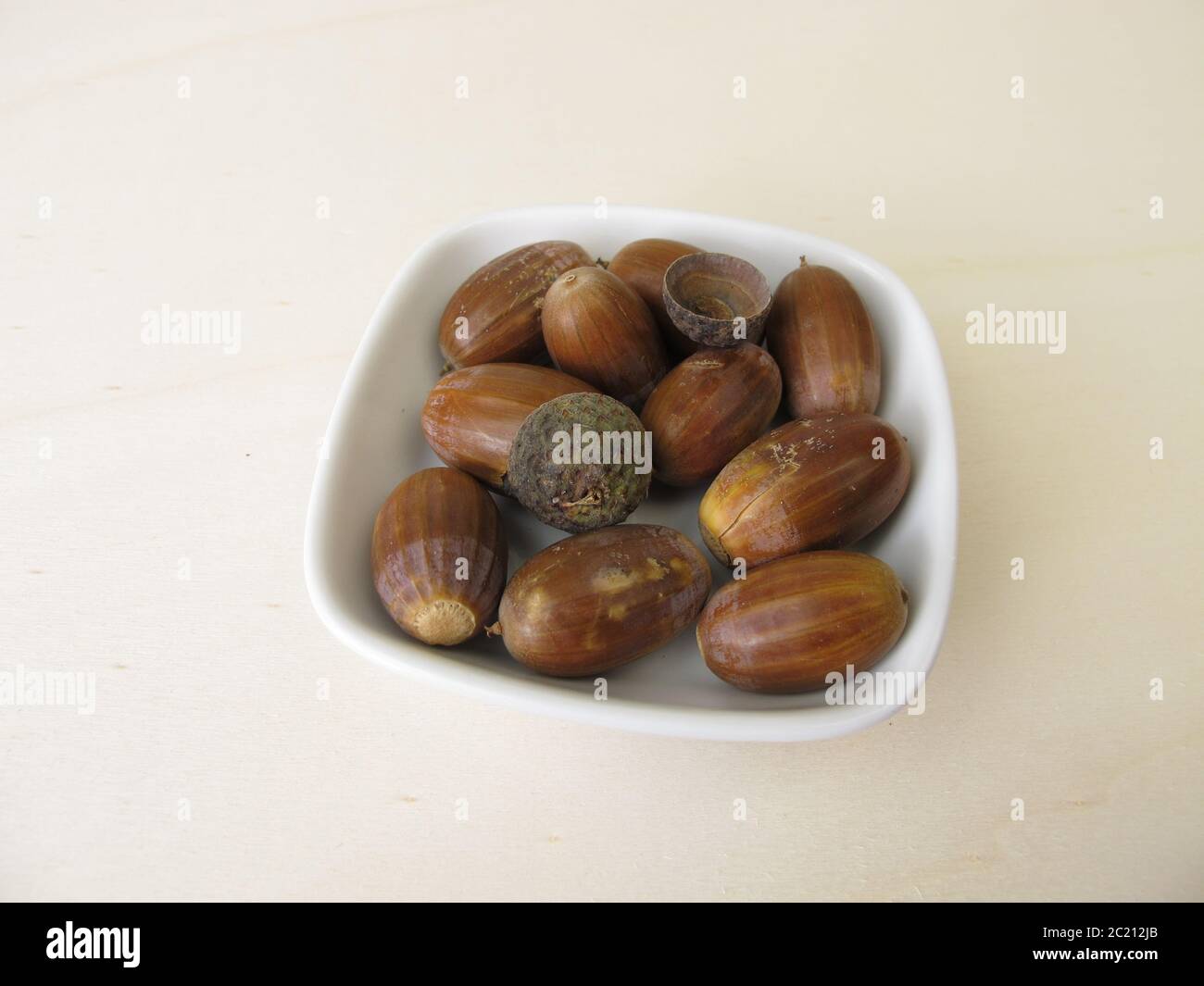 Acorns autumn hi-res stock photography and images - Alamy