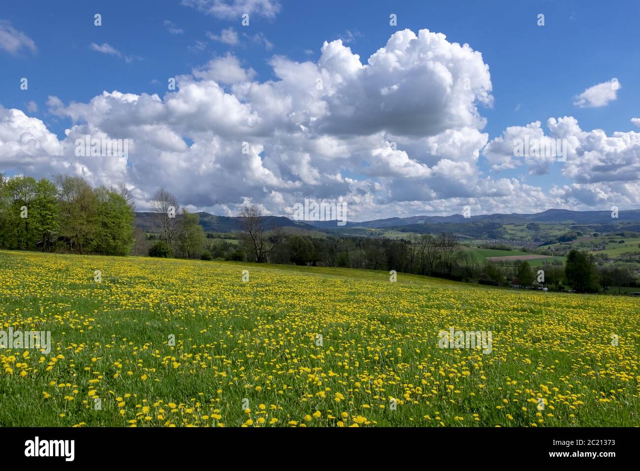 Spring on the tip of the mouth Stock Photo - Alamy