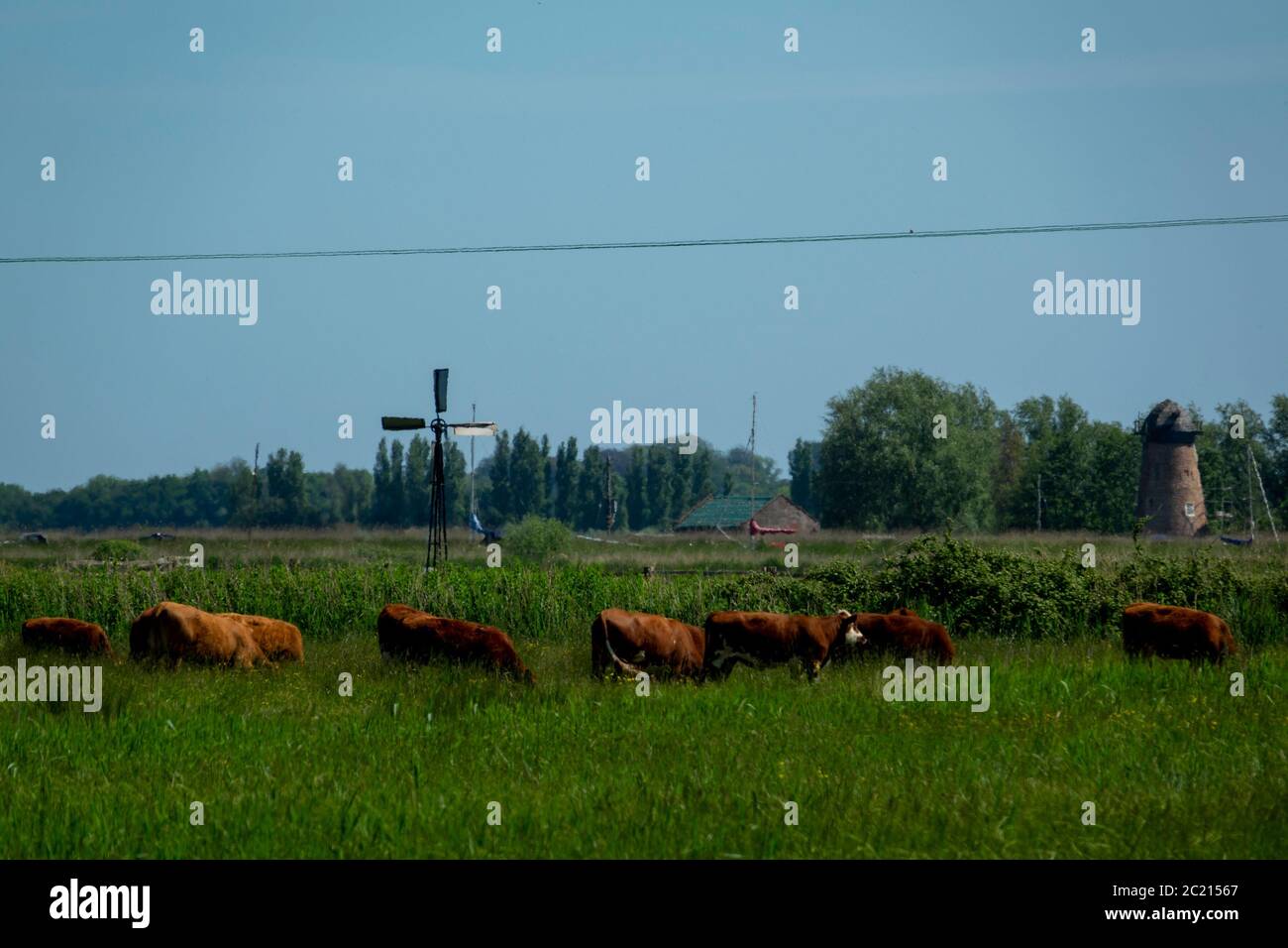 Broadland marsh hi-res stock photography and images - Alamy
