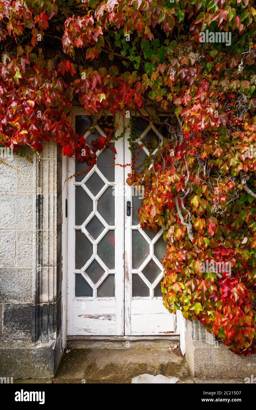 Distressed architecture hi-res stock photography and images - Alamy