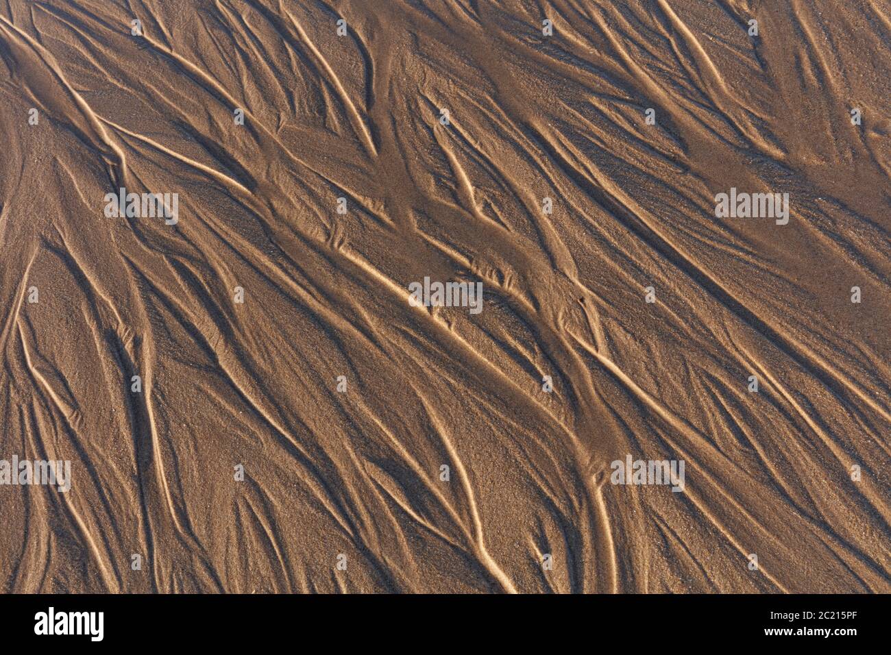 Close up image looking down on patterns in a wet sandy beach, showing ...