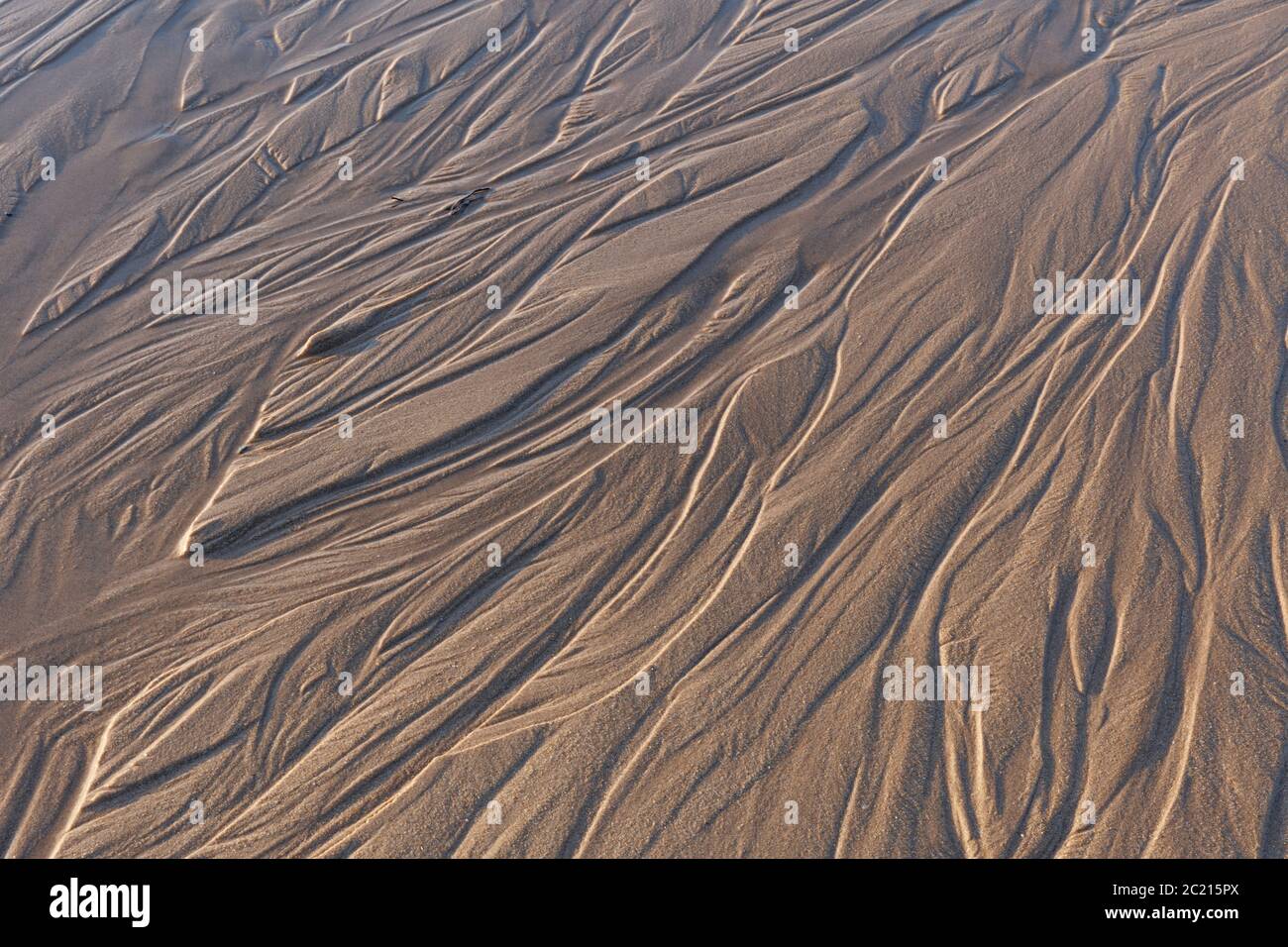 Close up view looking down on patterns in a wet sandy beach, showing ...