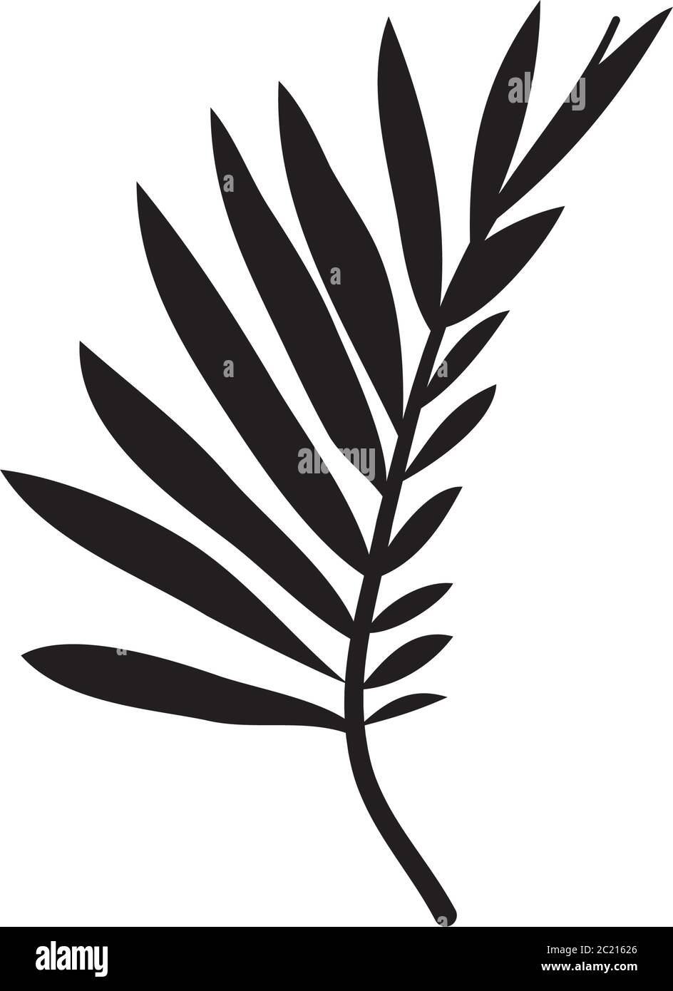 areca plam leaf icon over white background, silhouette style, vector ...