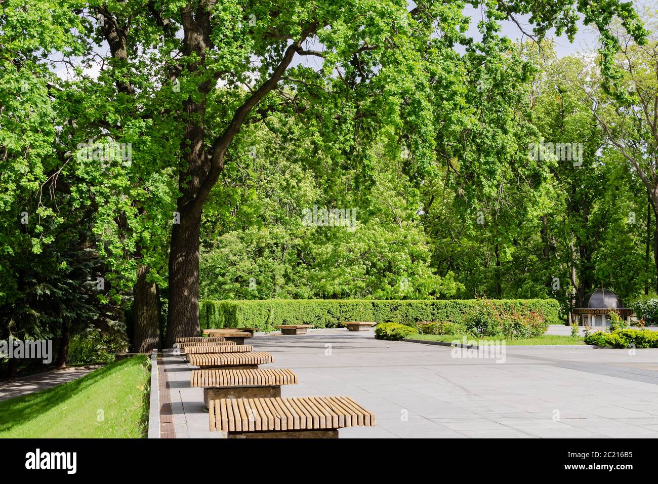 Outdoor tree benches hi-res stock photography and images - Alamy