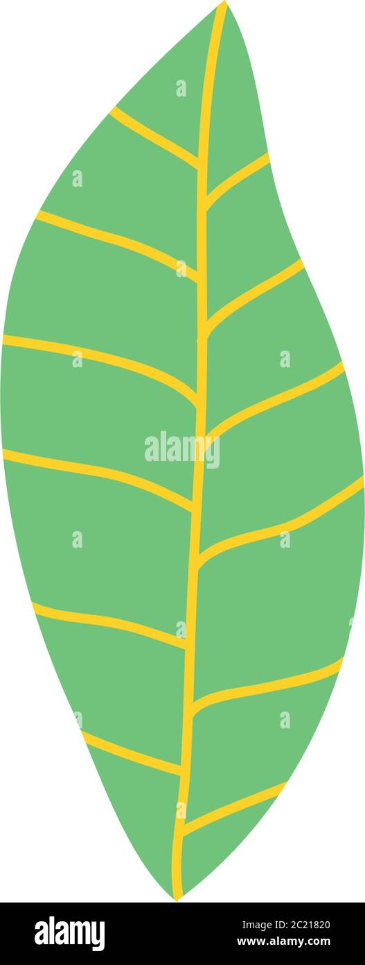 magnolia leaf icon over white background, flat style, vector ...