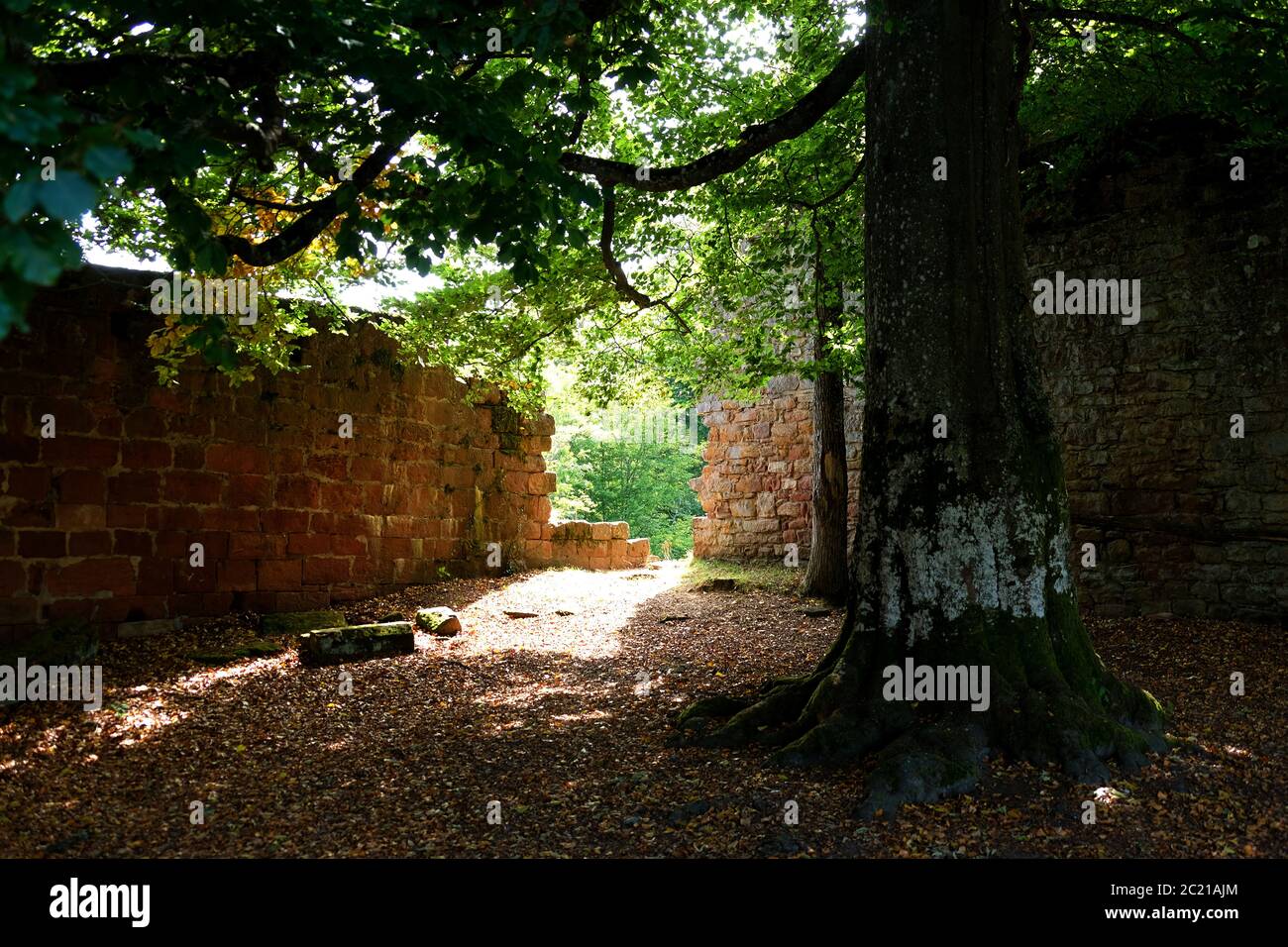 Wildenburg hi-res stock photography and images - Alamy