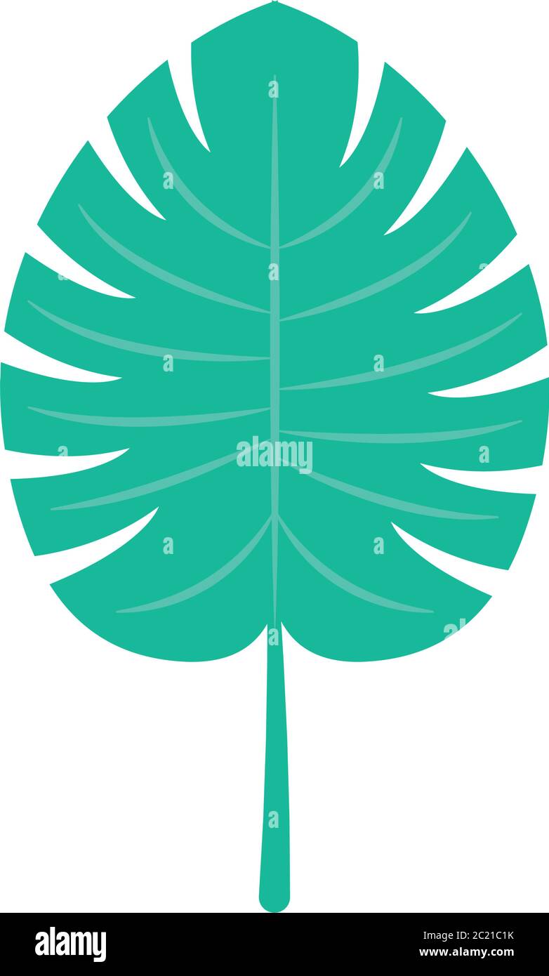 monstera leaf icon over white background, flat style, vector ...