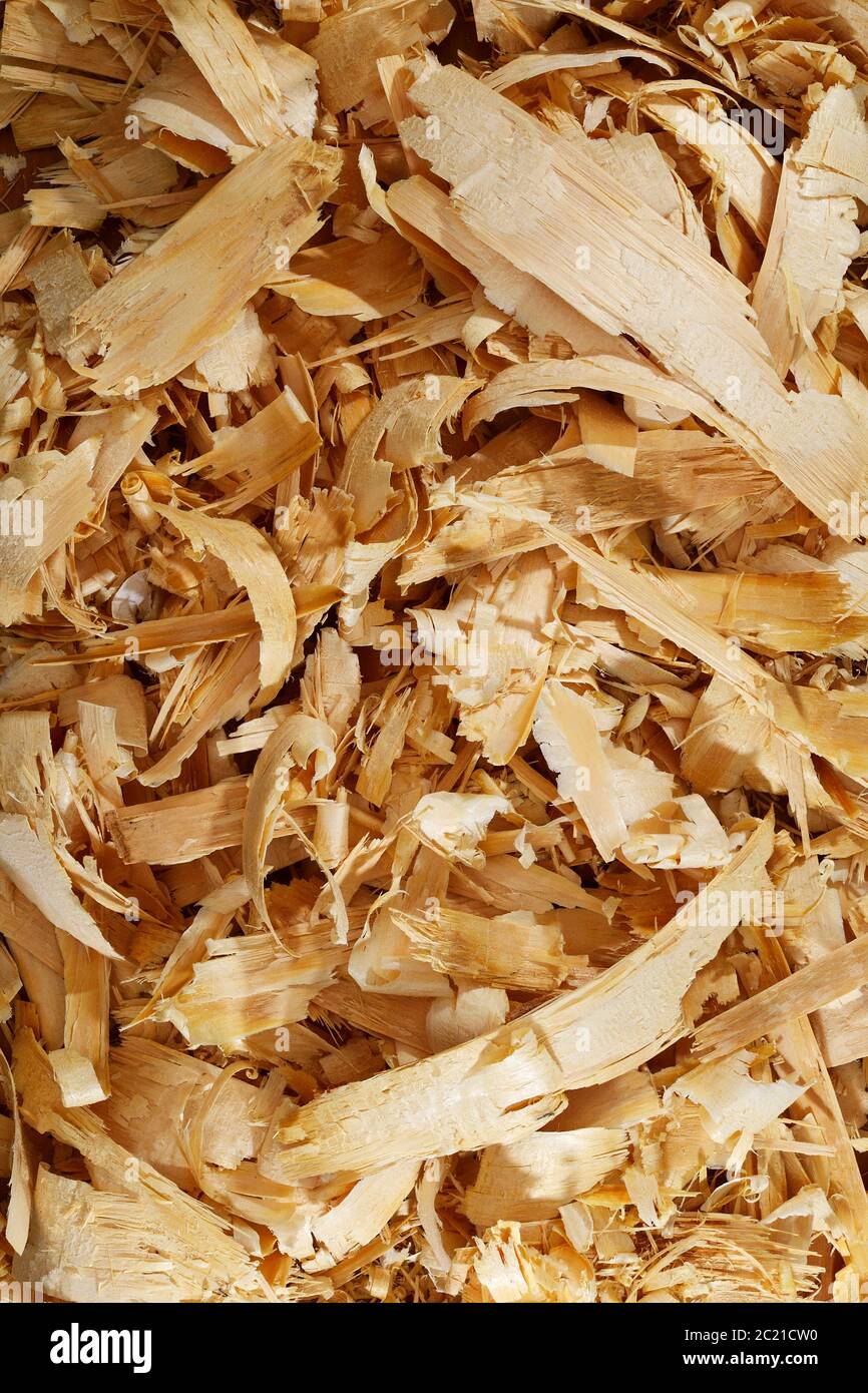 Whole woodwork hi-res stock photography and images - Alamy