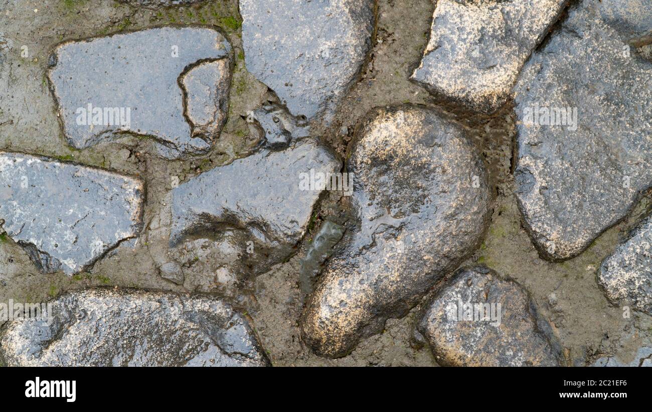 stone road after rain big cobblestones Stock Photo - Alamy