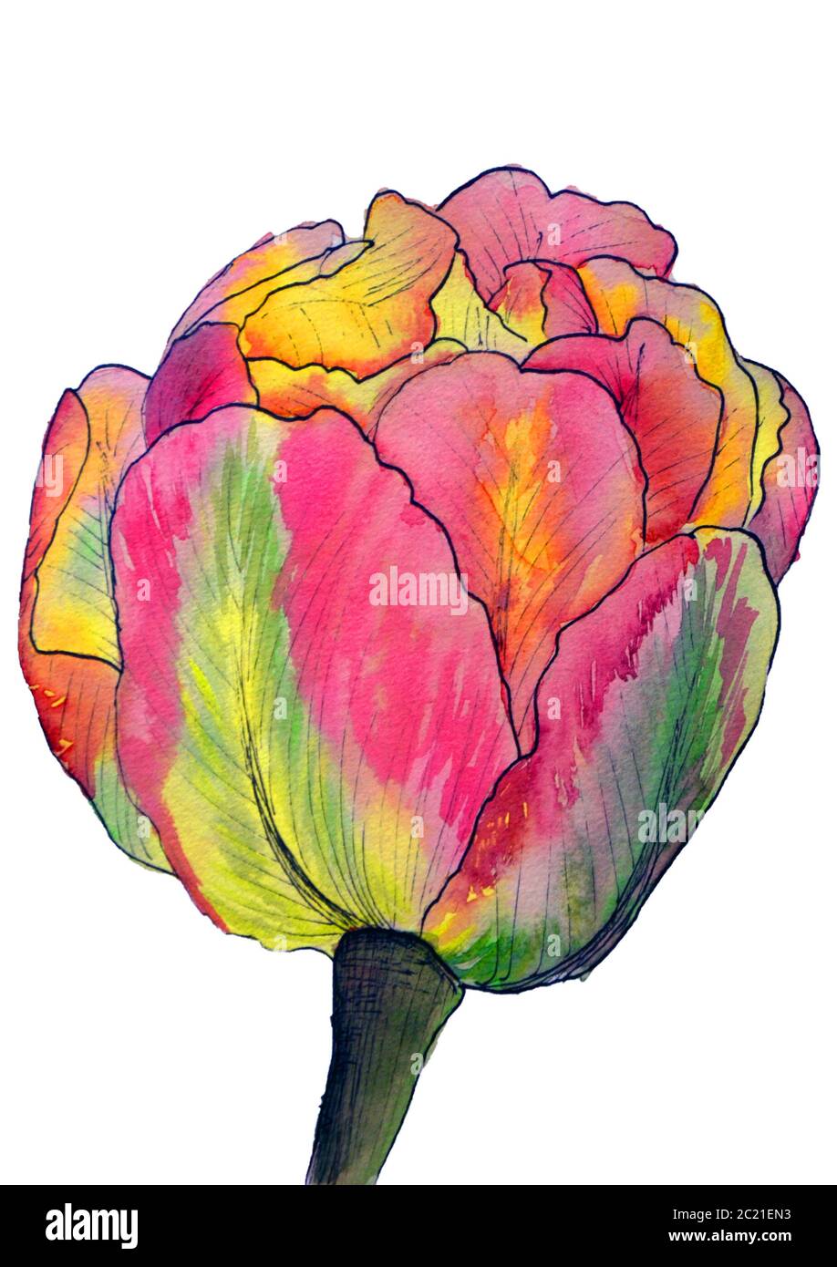 Magic flower hi-res stock photography and images - Alamy