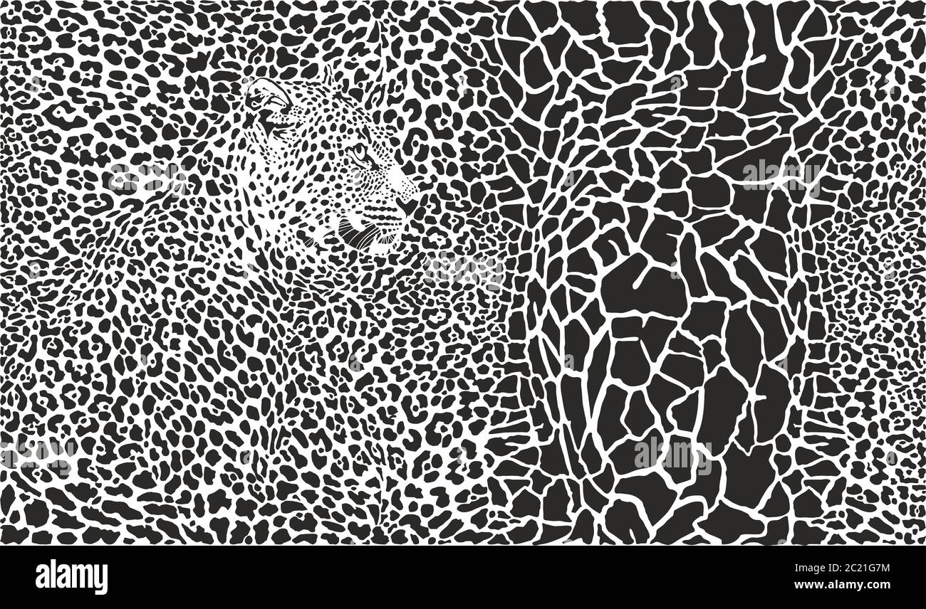 Background with leopard and giraffe Stock Photo - Alamy
