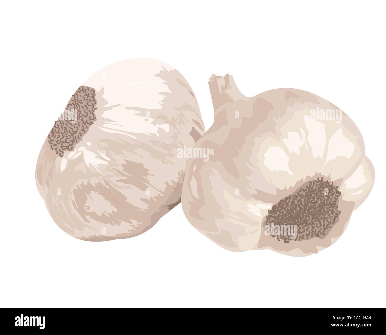 two Garlic isolated on white background Stock Photo - Alamy