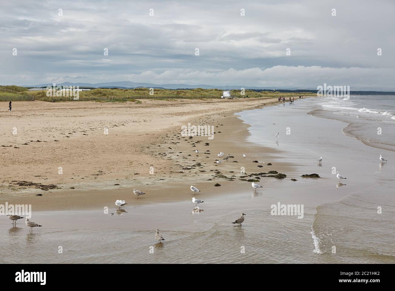 Beautiful sandy beach in St Andrews, Scotland Stock Photo - Alamy