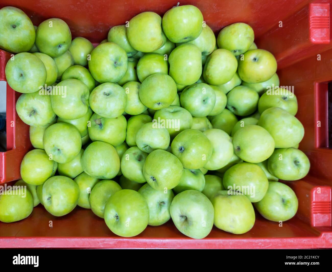 Green apples in a pallet on a counter in a self-service store. A fruit ...