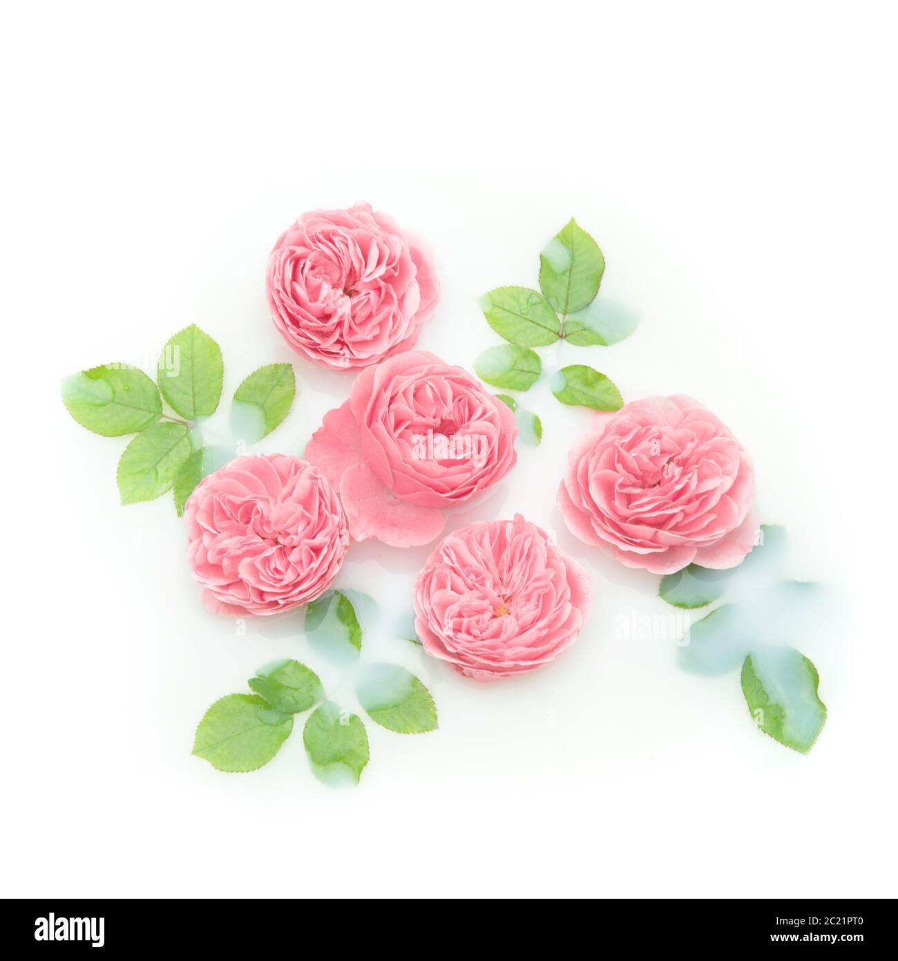 Minimal pastel Cut Out Stock Images & Pictures - Alamy