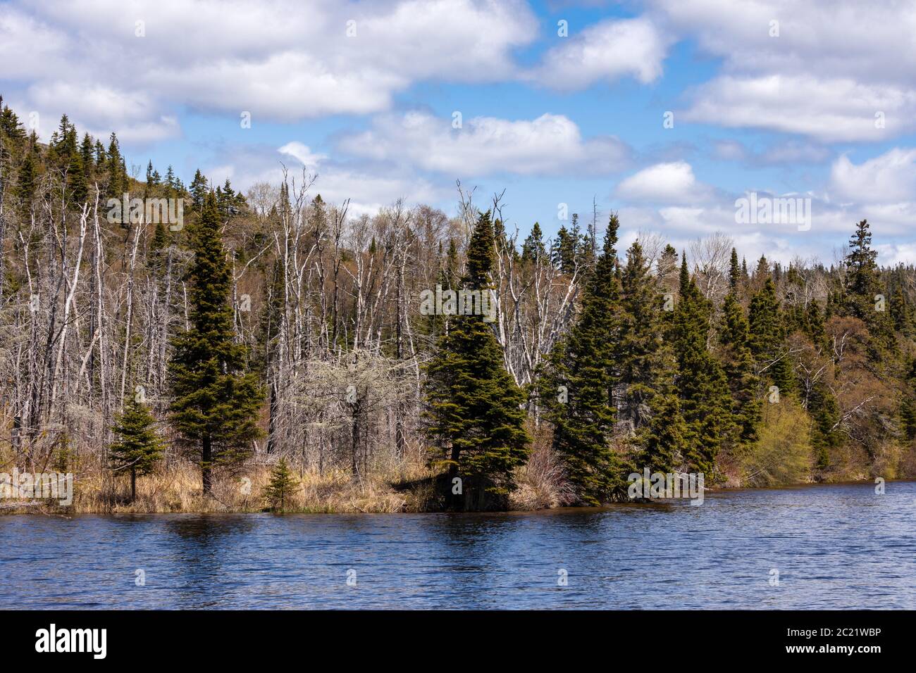 Lake and Landscape of Pukaskwa Nationalpark in Canada Stock Photo - Alamy