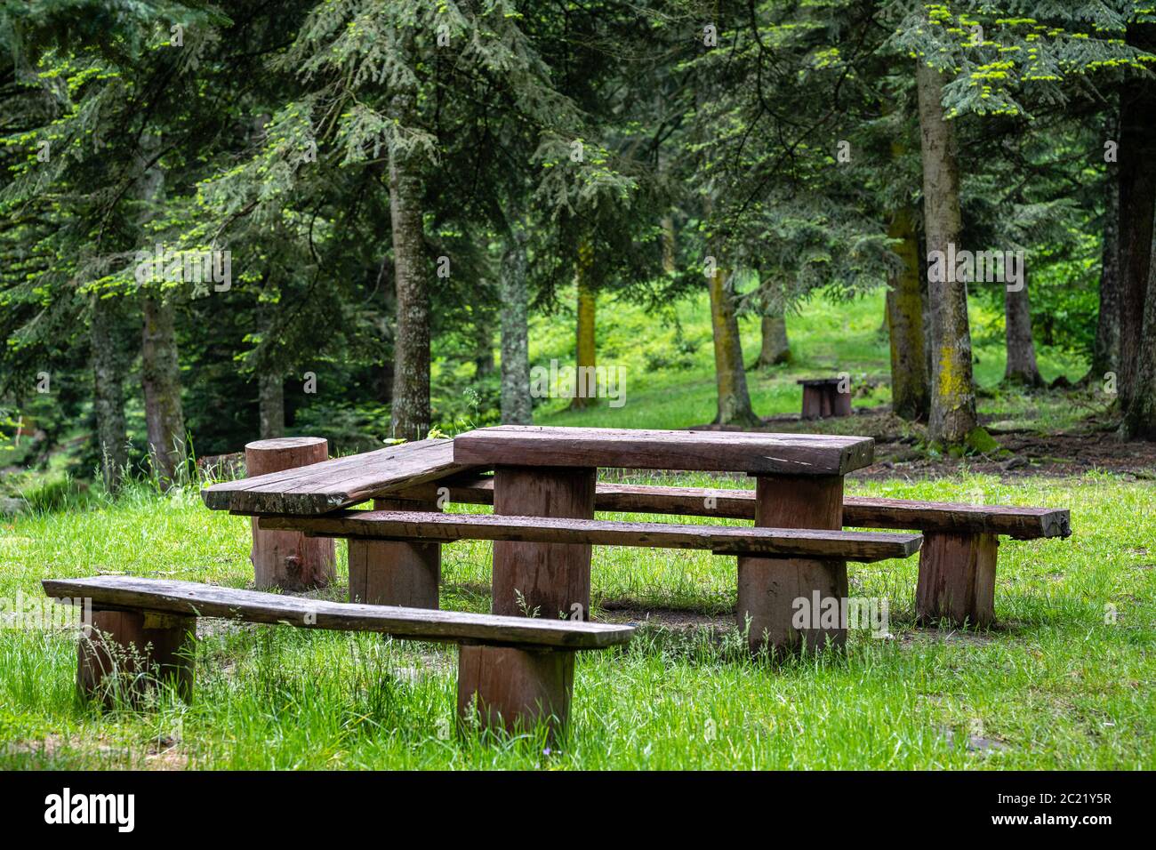 a resting area in the forest, a table and benches made of wood Stock ...
