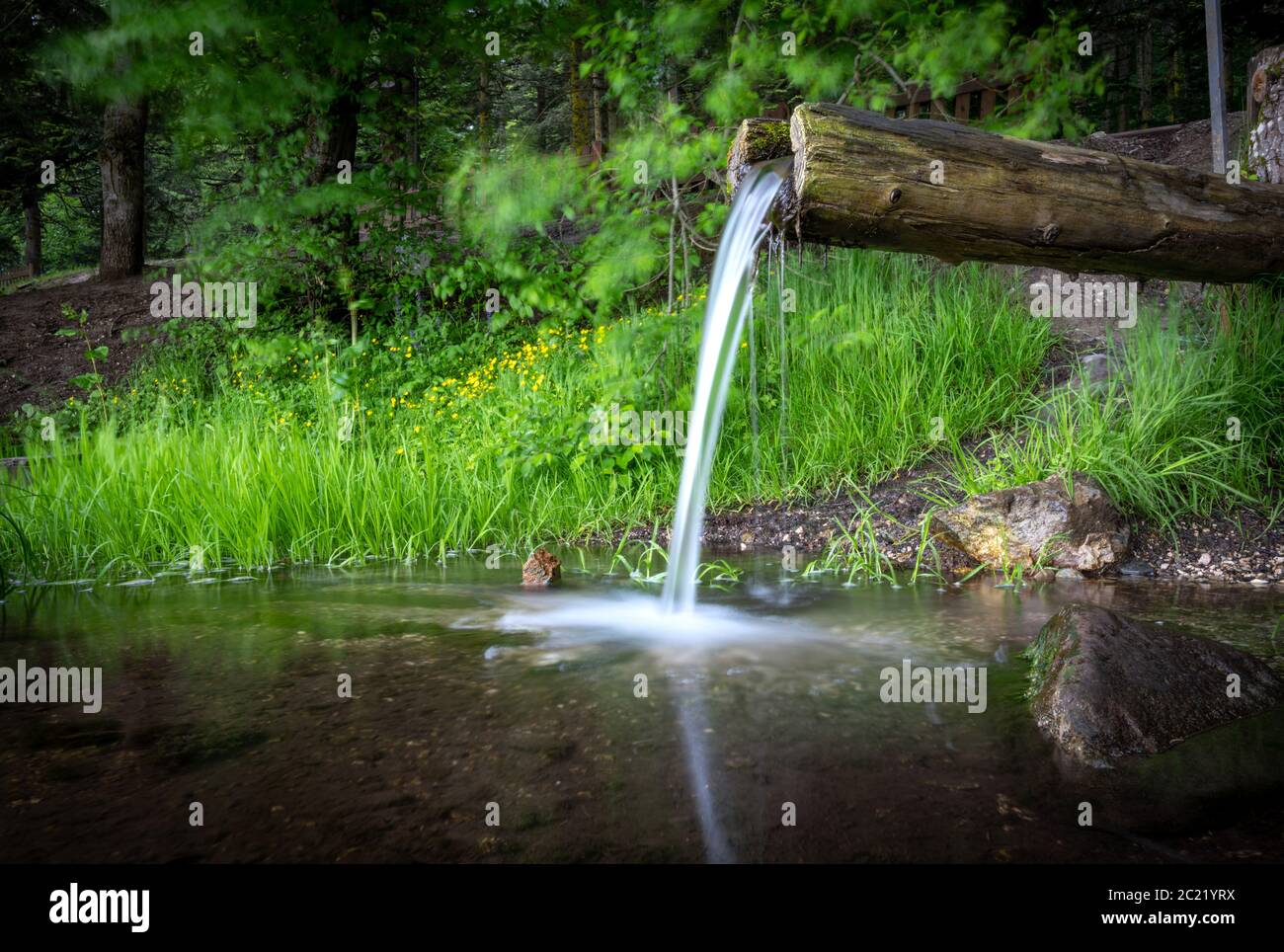 Pure and fresh and relaxed hi-res stock photography and images - Alamy