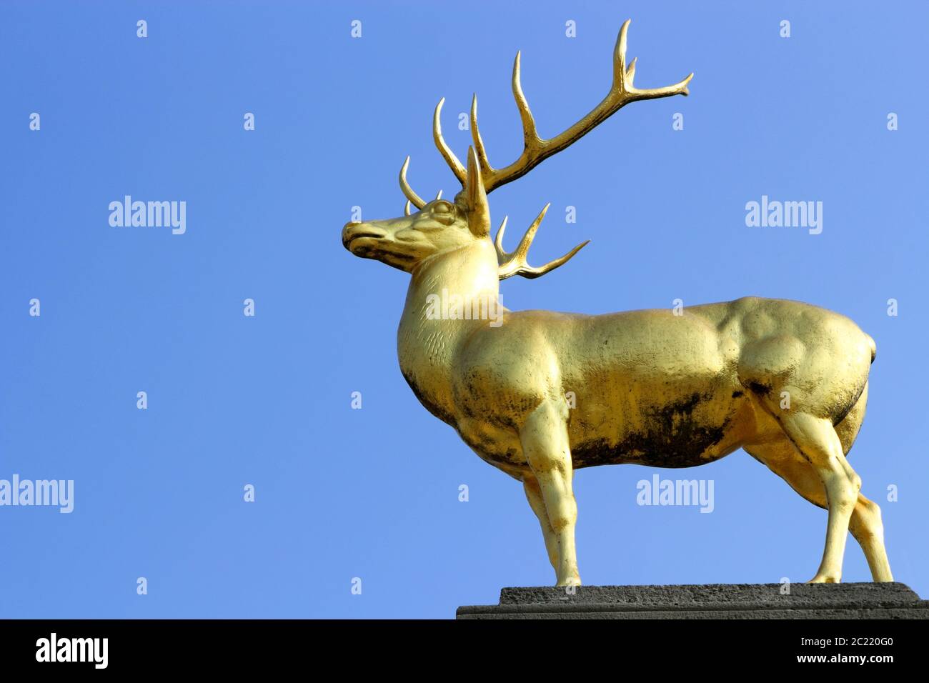 Landmark - Golden Stag Stock Photo - Alamy