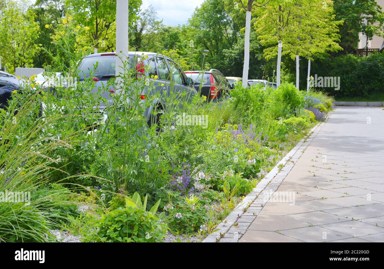 Street with parked cars and green concept with flowers and trees Stock ...