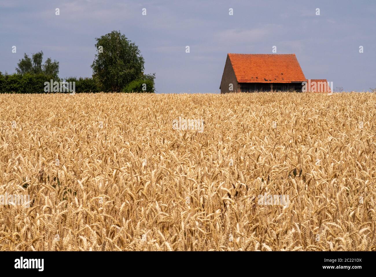 Landscape wheat hi-res stock photography and images - Alamy