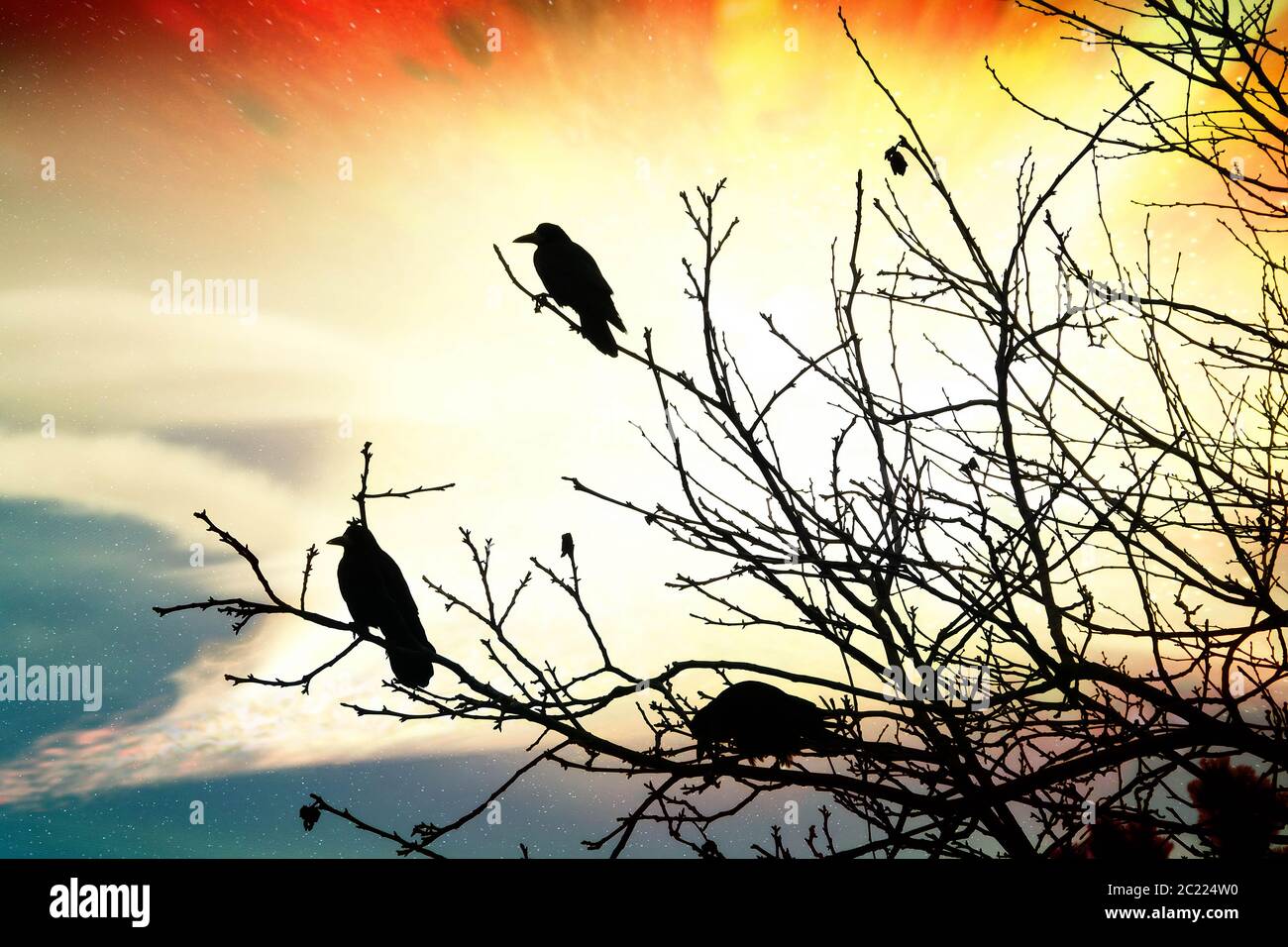 Mystical crows among stars against night sky. Halloween is coming soon ...