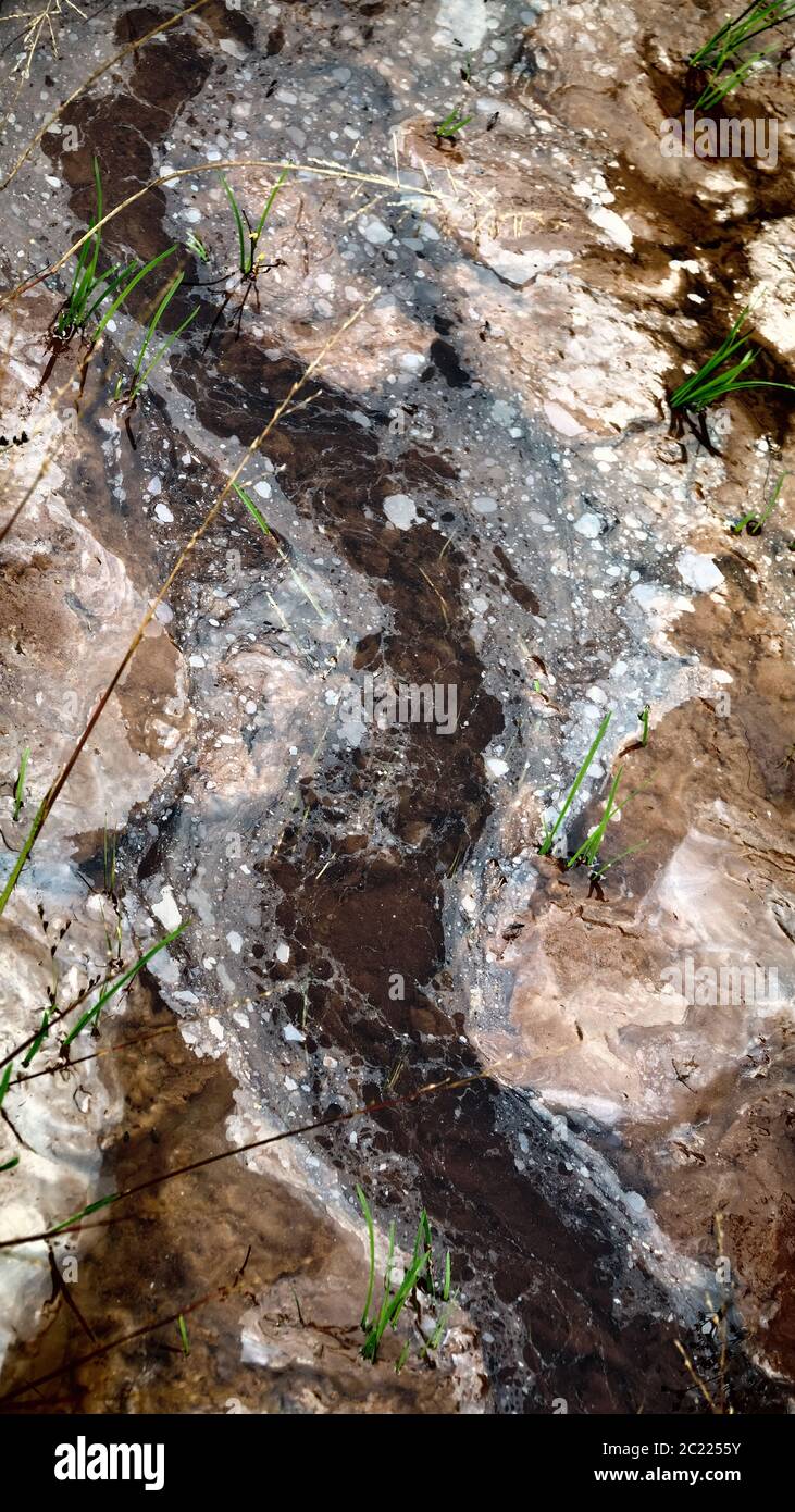 Water pollution, dehydration and stagnation in natural waters. Spring ...